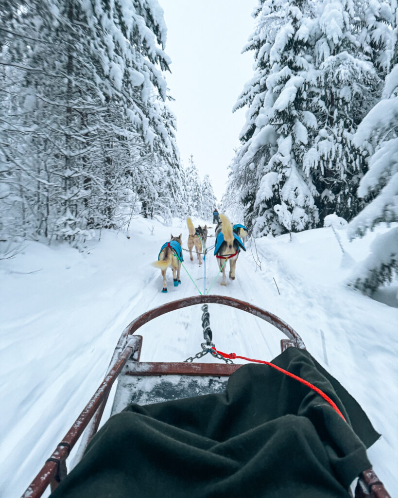 The Ultimate Finnish Lapland Winter Guide for First-Timers