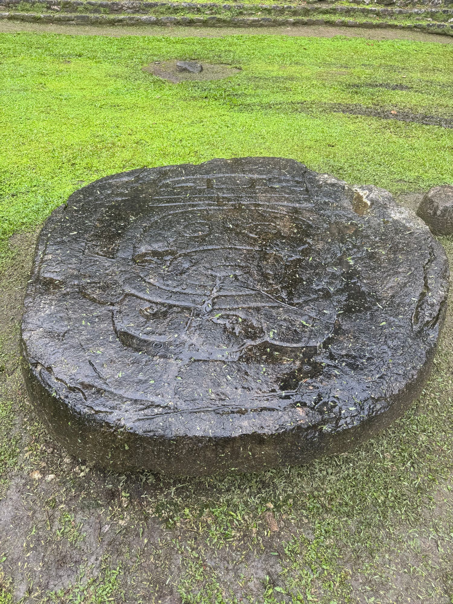 Touring the Caracol Ruins in Belize: Why You Shouldn't Drive There